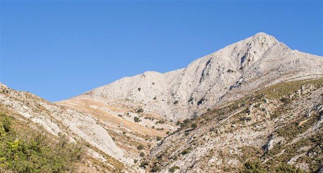 Zeus | Naxos and the Small Cyclades