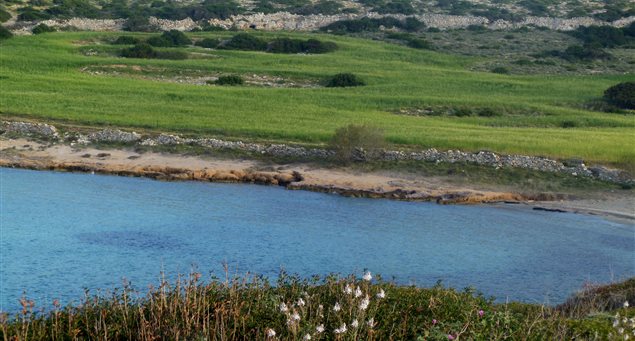 Lioliou Beach | Νάξος & Μικρές Κυκλάδες